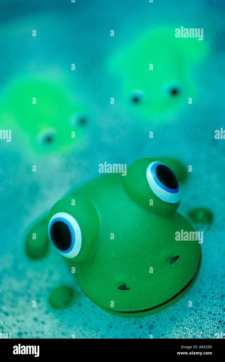 Frog smile nobody hi-res stock photography and images - Alamy