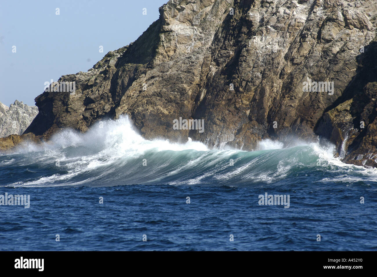 Farallon Islands Great white shark diving destination San Francisco Bay ...