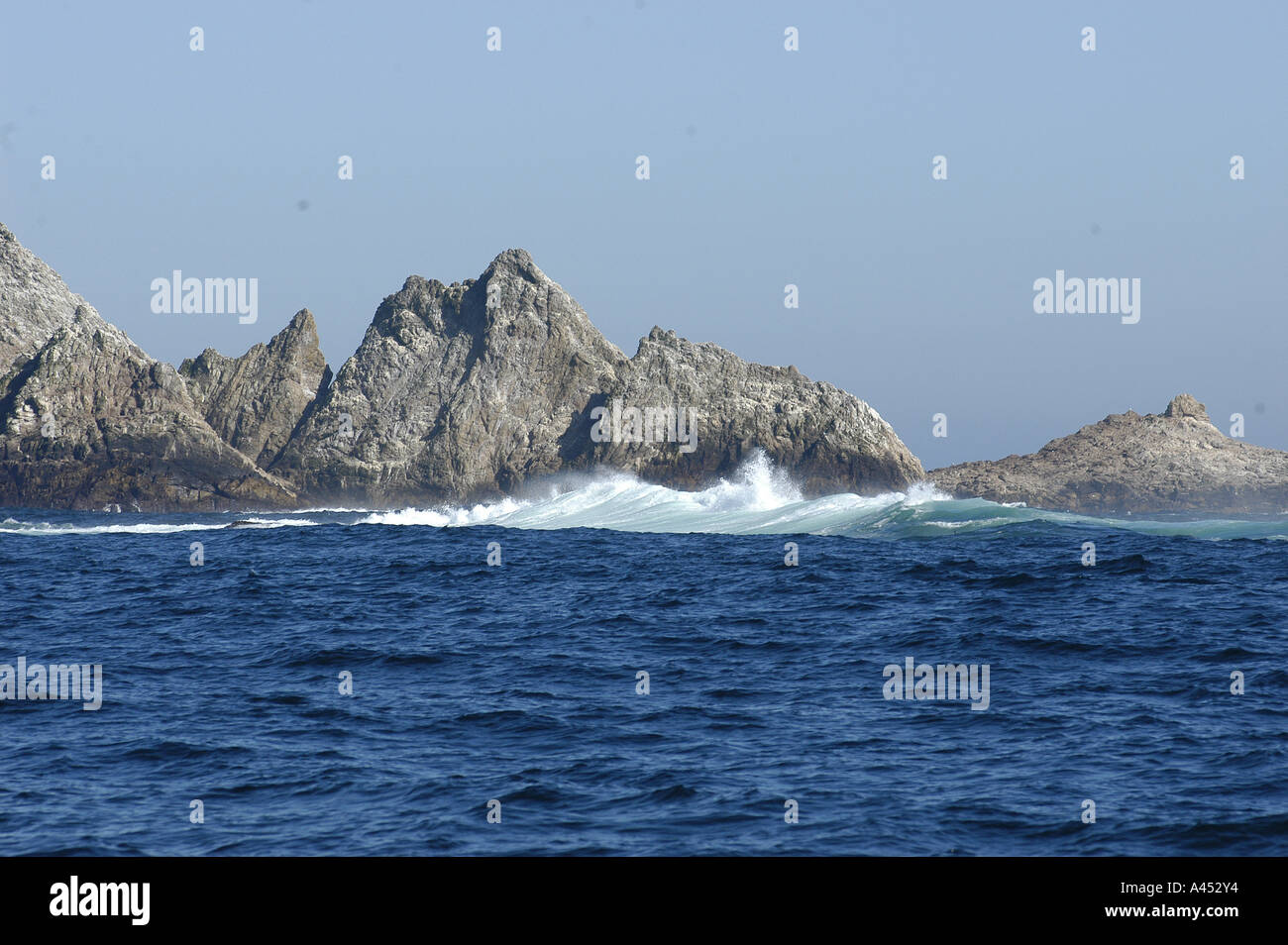 Farallon Islands Great white shark diving destination San Francisco Bay ...