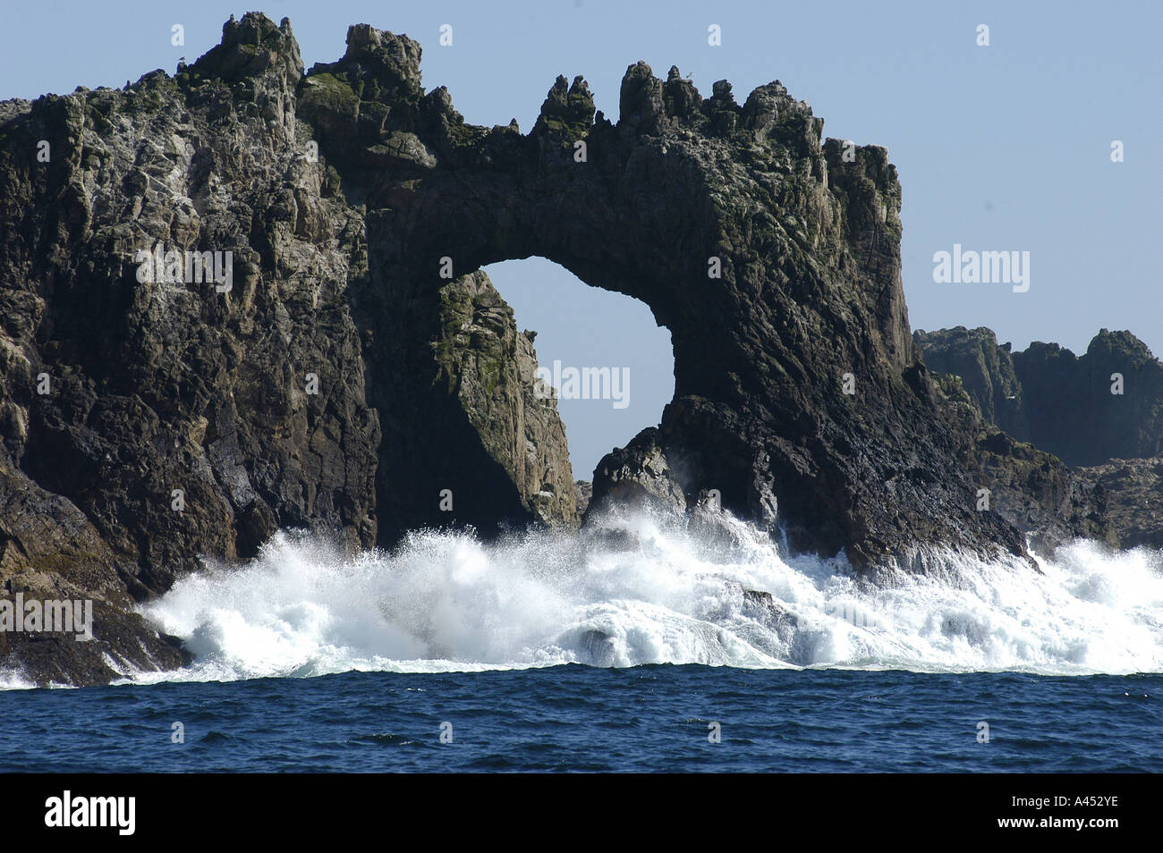 The Arch Farallon Islands Great white shark diving destination San ...