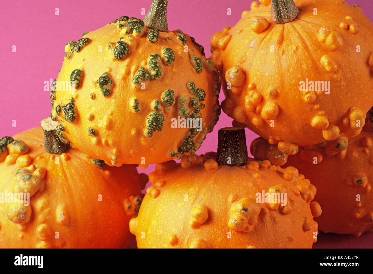 Baby vegan pumpkins hi-res stock photography and images - Alamy