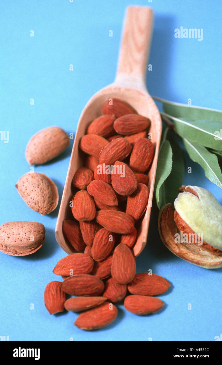 Closeup shot almond shells hi-res stock photography and images - Alamy