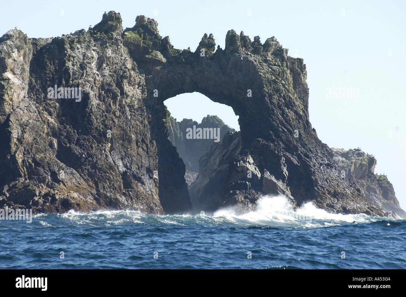 The Arch Farallon Islands Great white shark diving destination San ...