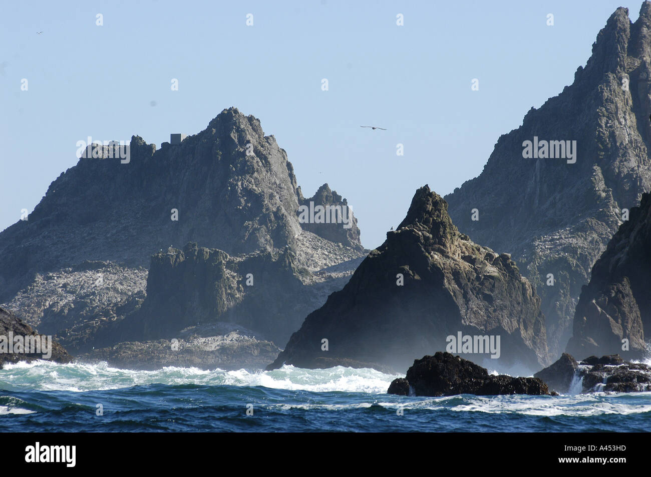 The Arch Farallon Islands Great white shark diving destination San ...