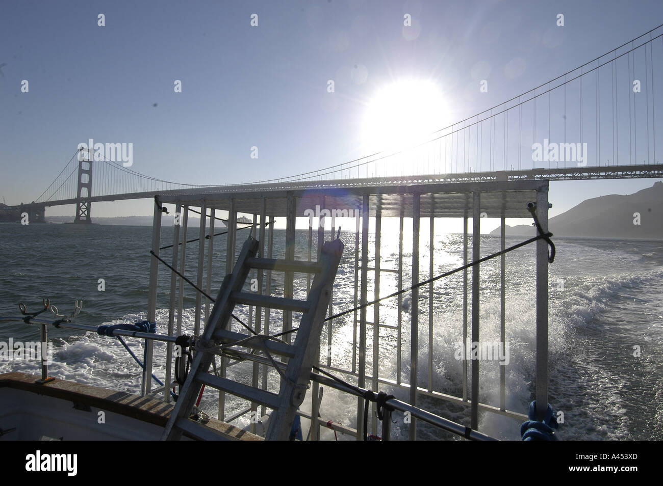 Great white shark diving cage with Golden Gate Bridge at sunset San ...