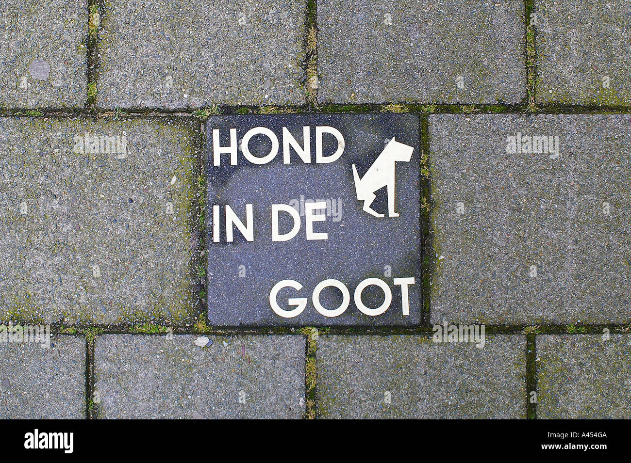 Plan view of pavement in Holland, one paving stone painted with the ...
