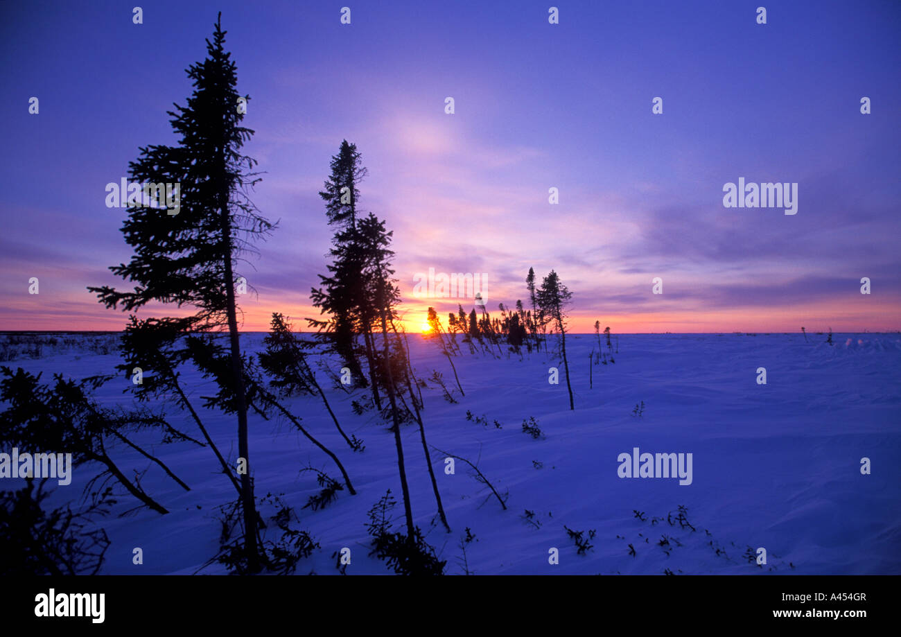 Sun setting over the eternal snow of the Tundra landscape in Wapusk NP ...