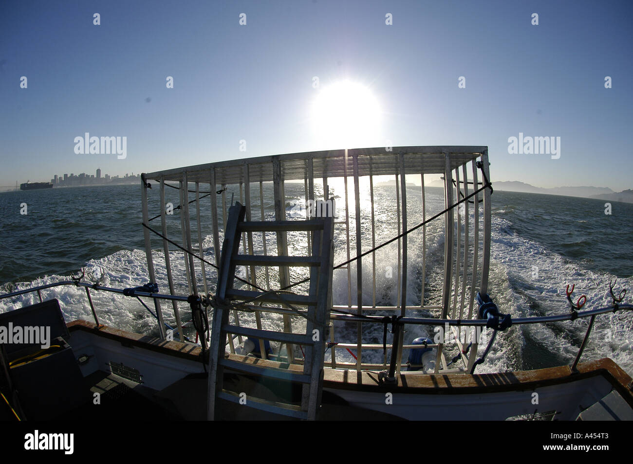 Shark cage with San Francisco skyline Great white shark diving ...