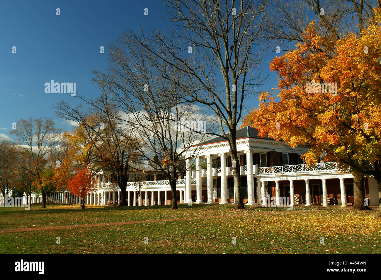 AJD53752, Charlottesville, VA, Virginia, University of Virginia, campus ...