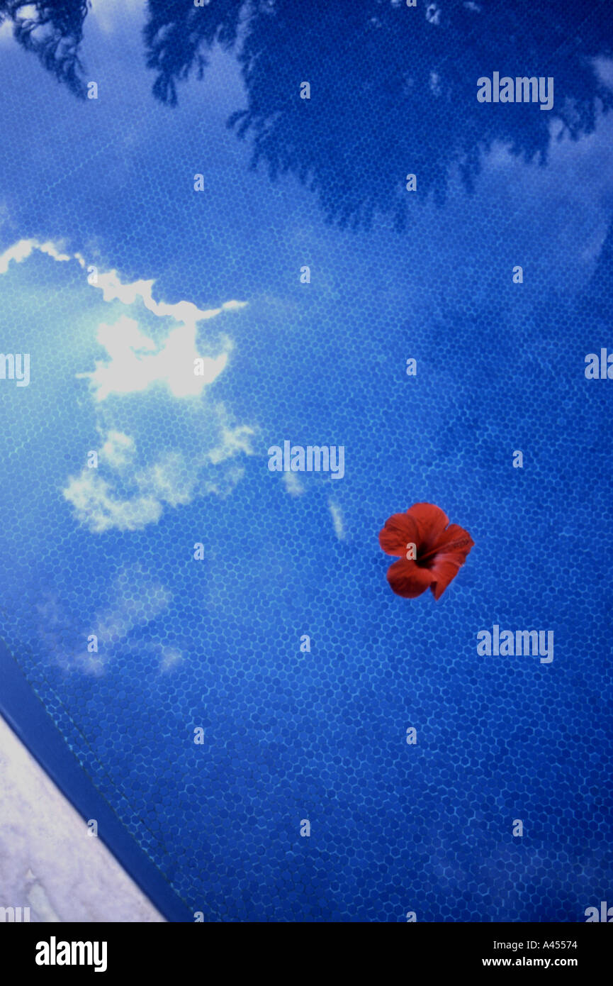 Refections on the water hi-res stock photography and images - Alamy