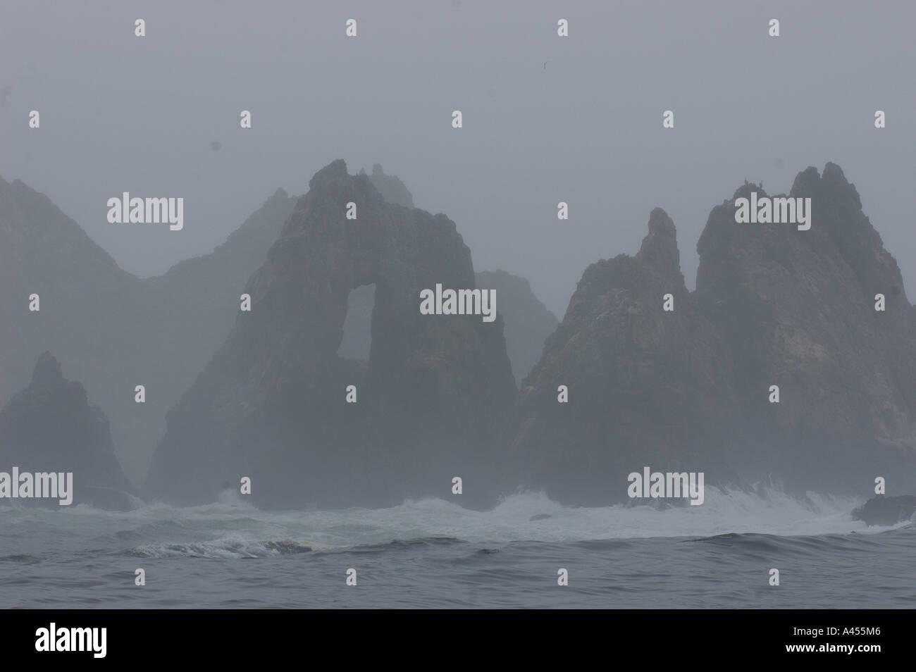 Farallon Islands Great white shark diving paradise San Francisco ...