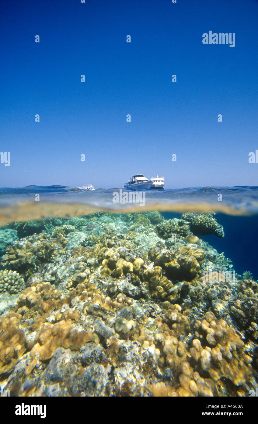 Above and underwater shot of dive boats and corals at Panorama Reef ...