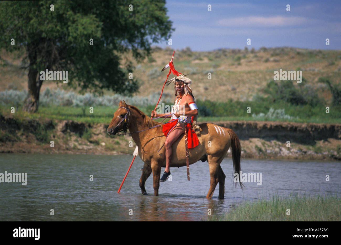 Native from the Crow Indian Reservation during a Powwow celebration ...