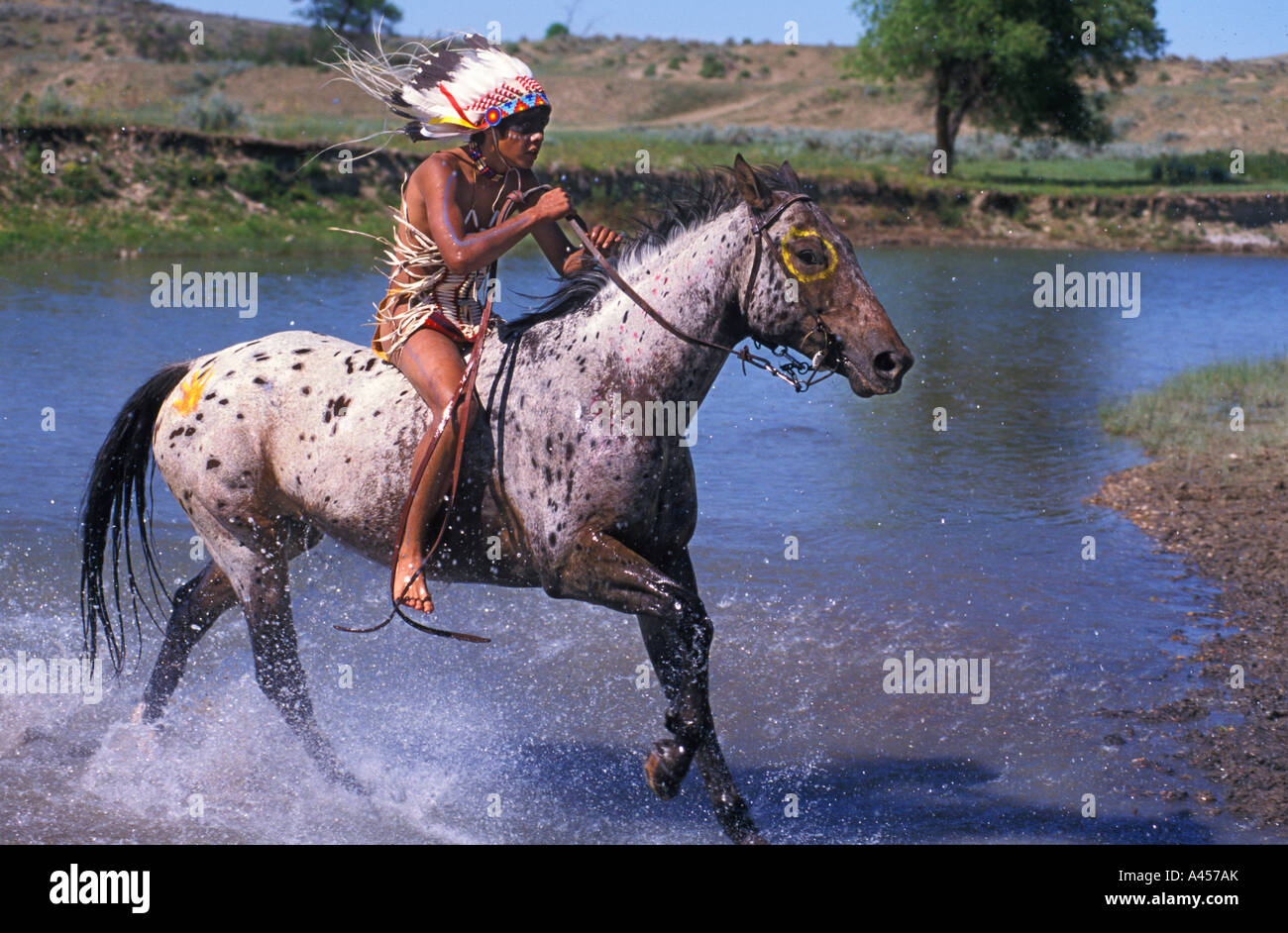 Native american ridding horse hi-res stock photography and images - Alamy