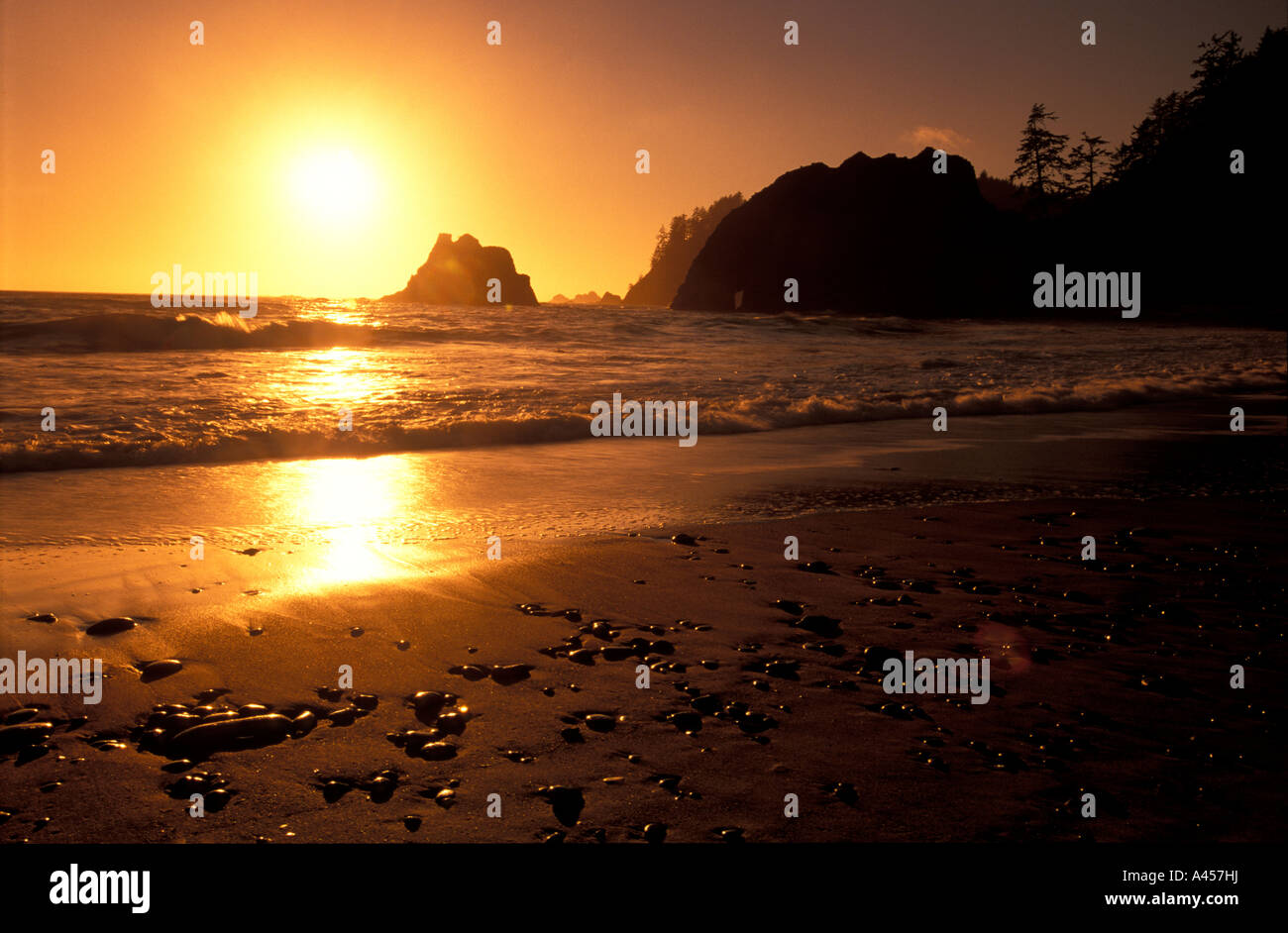 Second Beach at sunset, Olympic NP. Washington, USA Stock Photo - Alamy