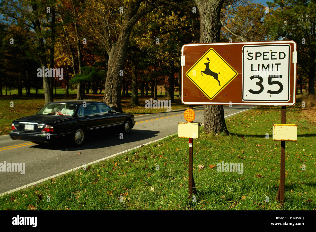 AJD53209, Valley Forge National Historic Park, PA, Pennsylvania, Deer ...