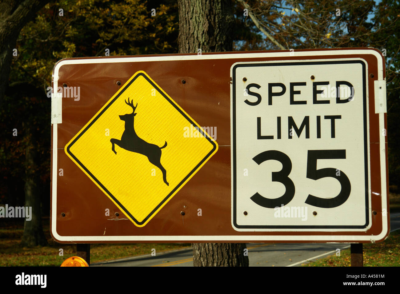 AJD53211, Valley Forge National Historic Park, PA, Pennsylvania, Deer ...