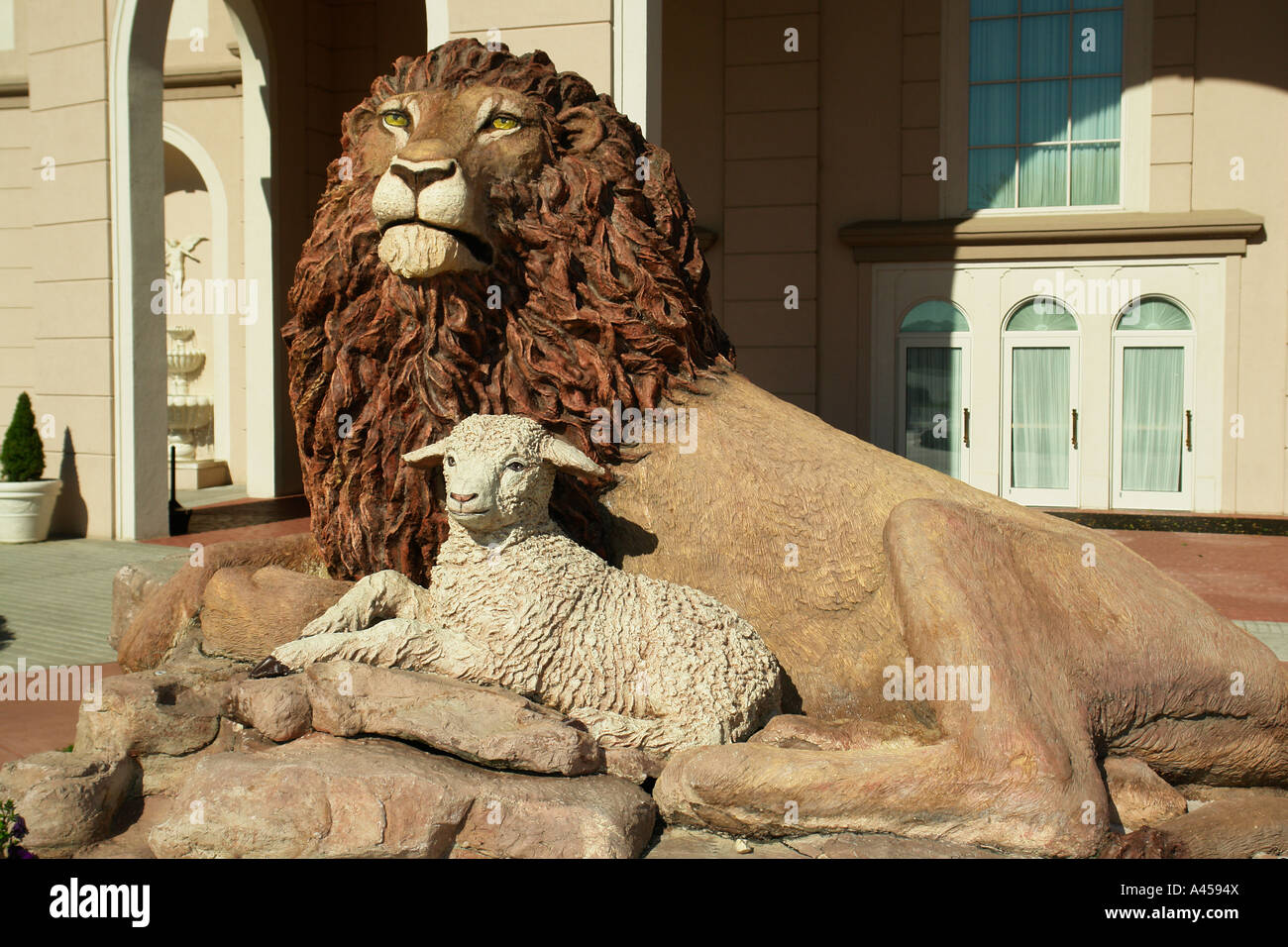 Lion and the lamb hi-res stock photography and images - Alamy