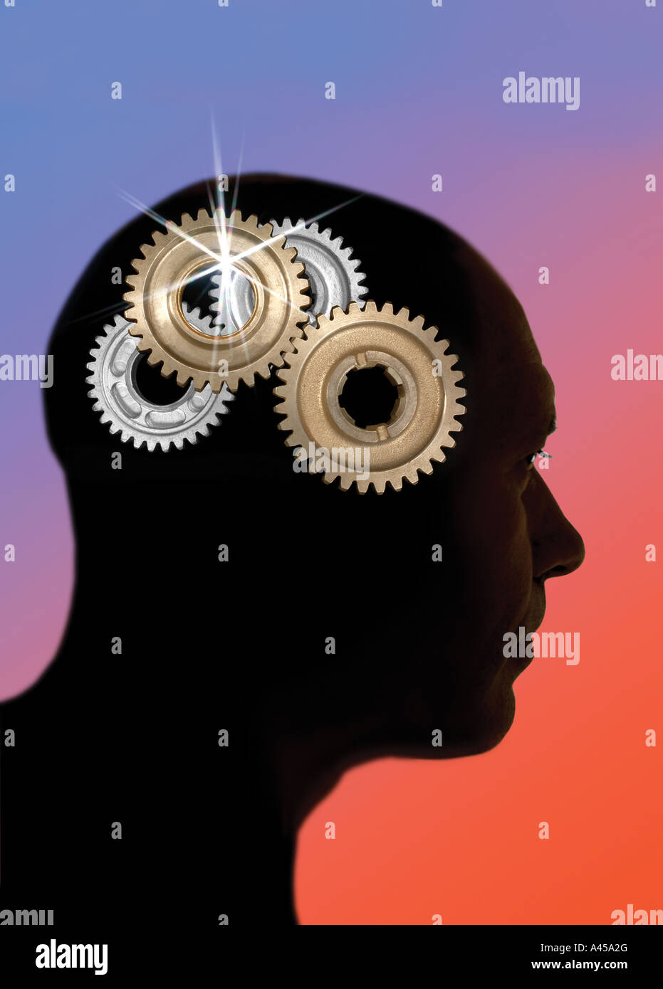 cog wheels in man s head Stock Photo - Alamy