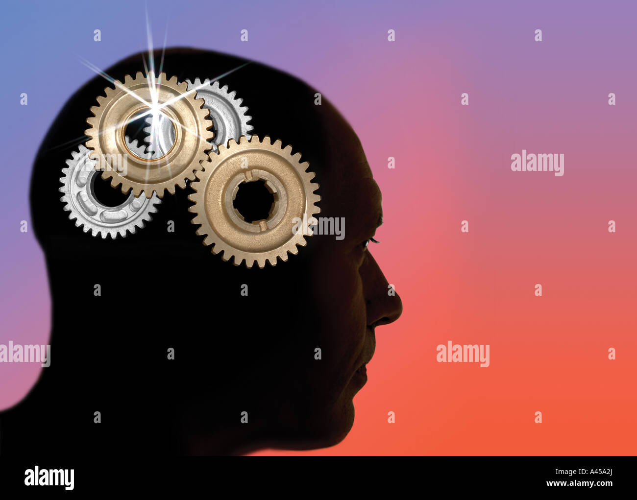 cog wheels in man s head Stock Photo - Alamy