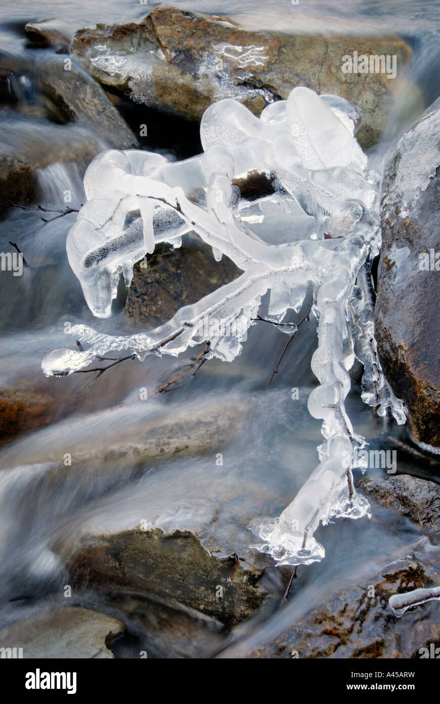 Natural Ice Sculpture Stock Photo - Alamy