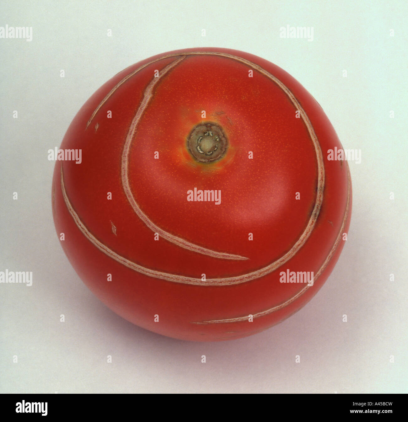 Tomato split hi-res stock photography and images - Alamy