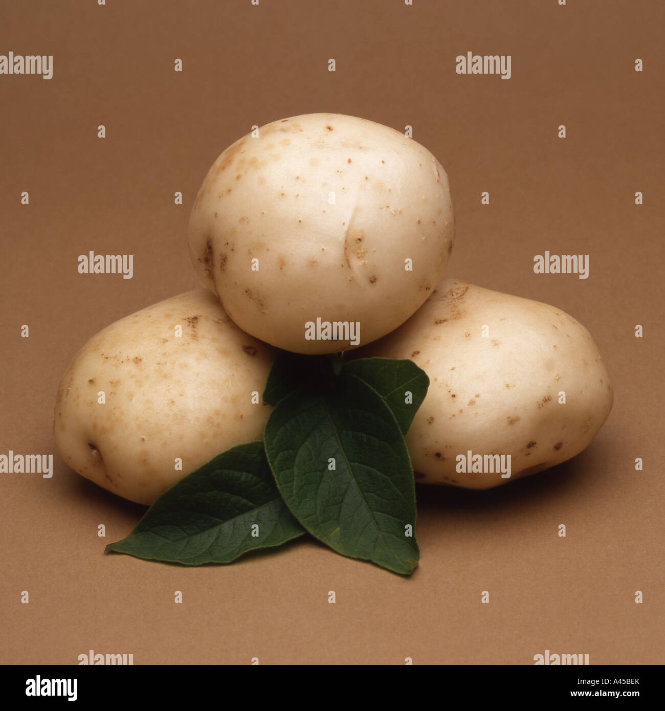 Pentland javelin potato hi-res stock photography and images - Alamy