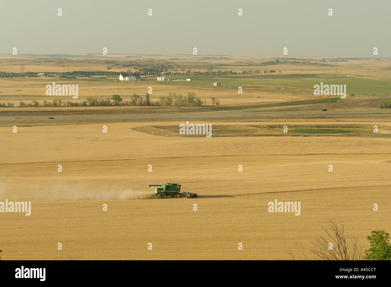 AJD57357, New Salem, ND, North Dakota, farming, farmland, wheat harvest ...