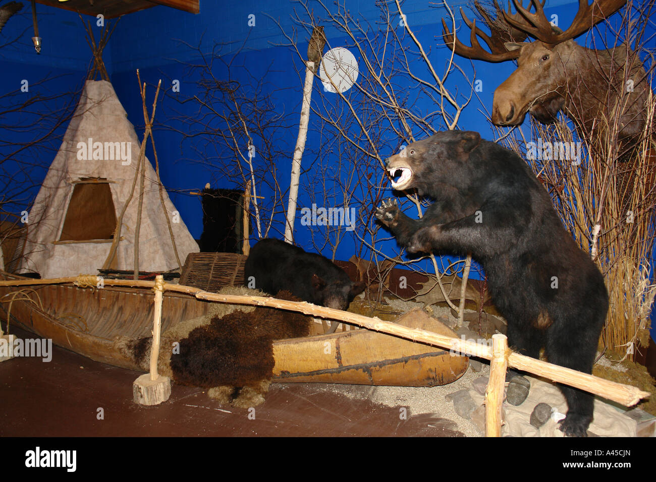 AJD57404, Alexandria, MN, Minnesota, Runestone Museum Stock Photo - Alamy