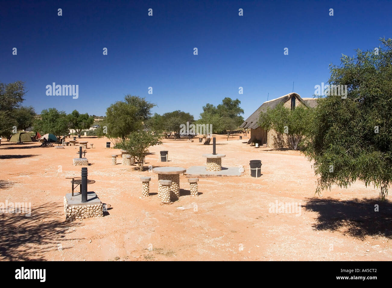 Campsite Twee Rivieren, Kgalagadi Transfrontier Park, Kalahari Gemsbok ...