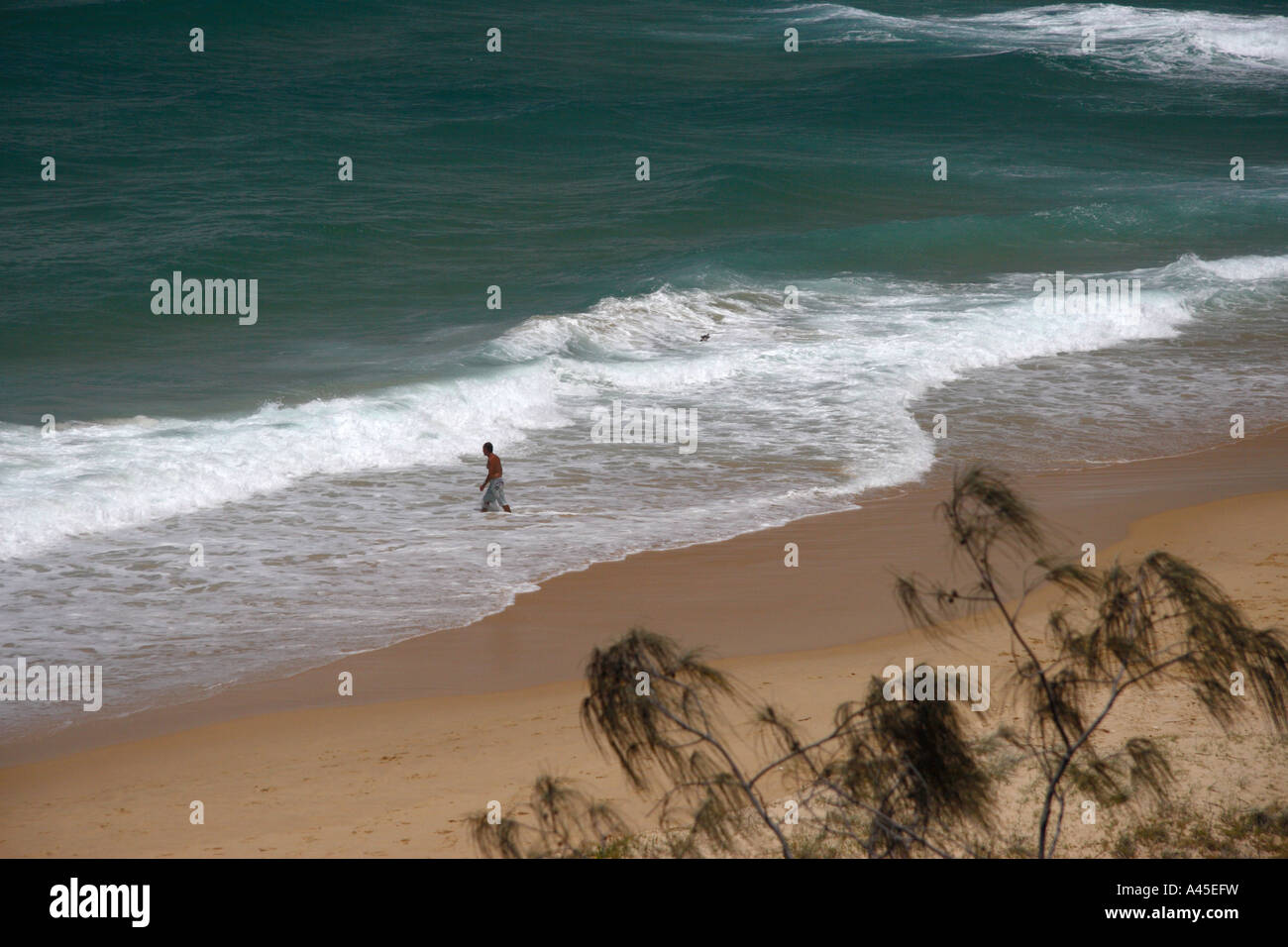 point cartwright beach summer Stock Photo - Alamy