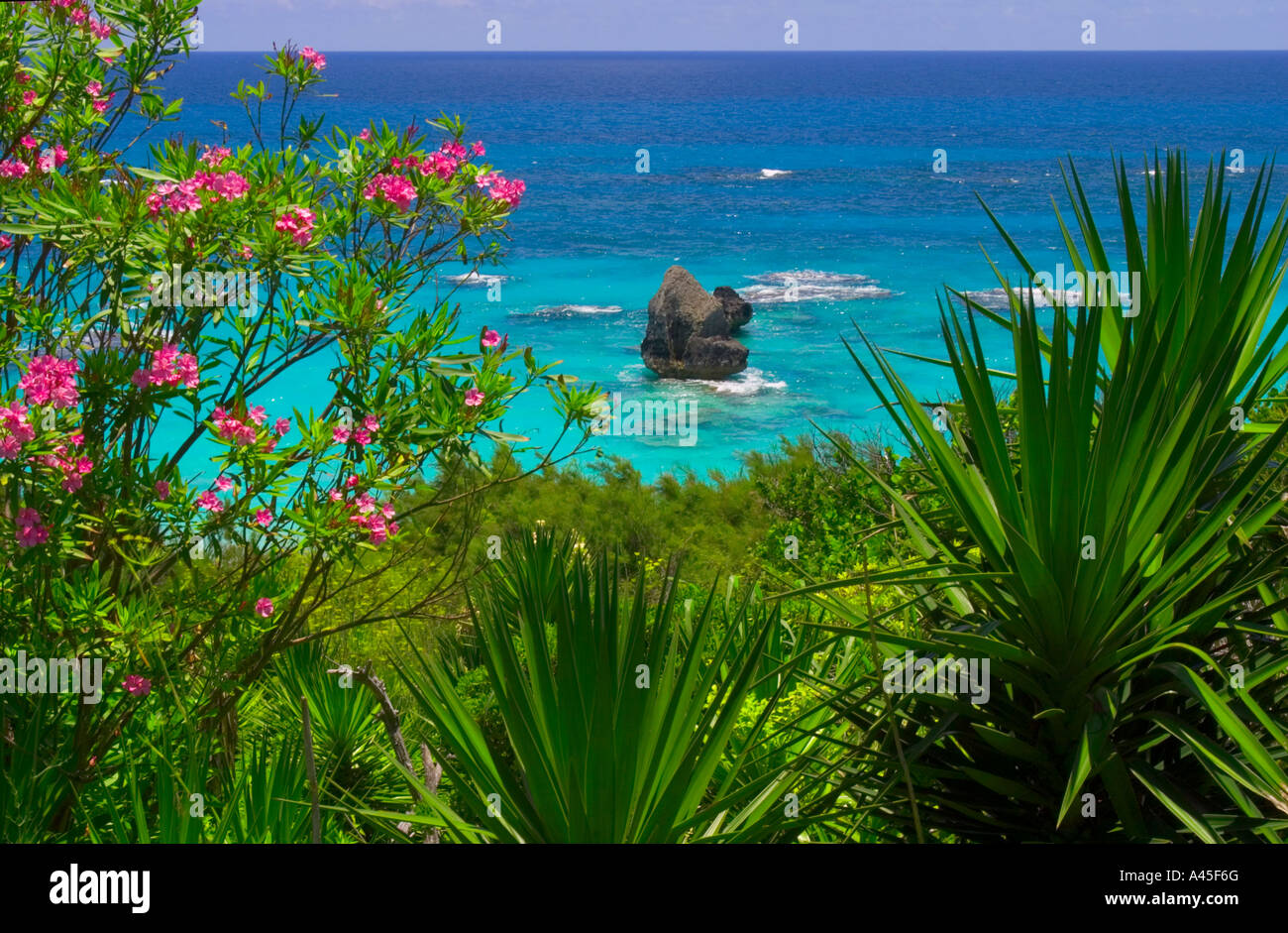 Oleander and yucca frame the blue green waters of Warwick Long Bay in ...