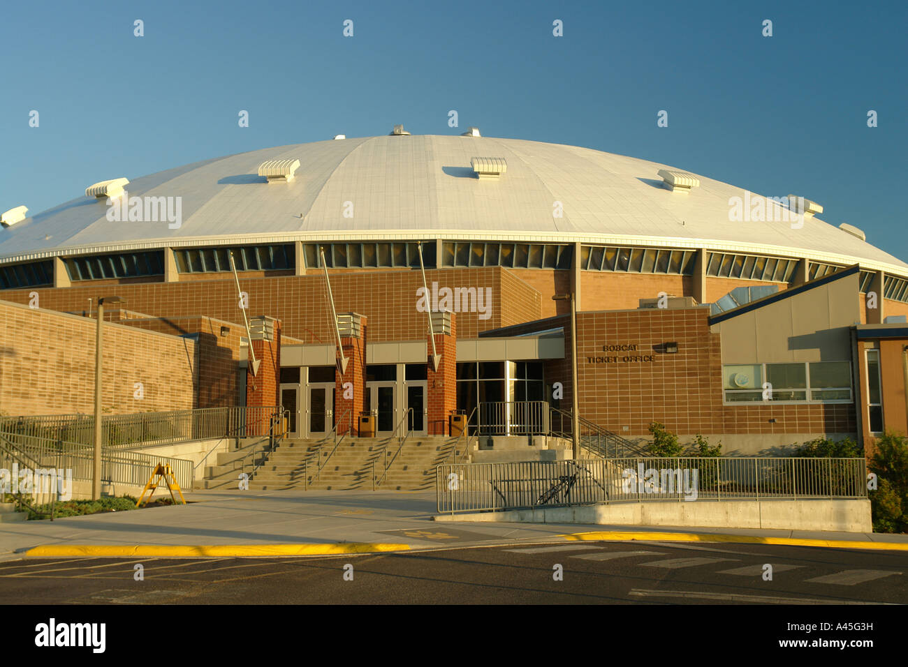 Bobcats Montana State University Stock Photos & Bobcats Montana State ...