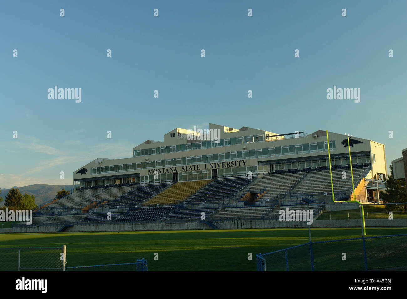 Bobcats montana state university hi-res stock photography and images ...