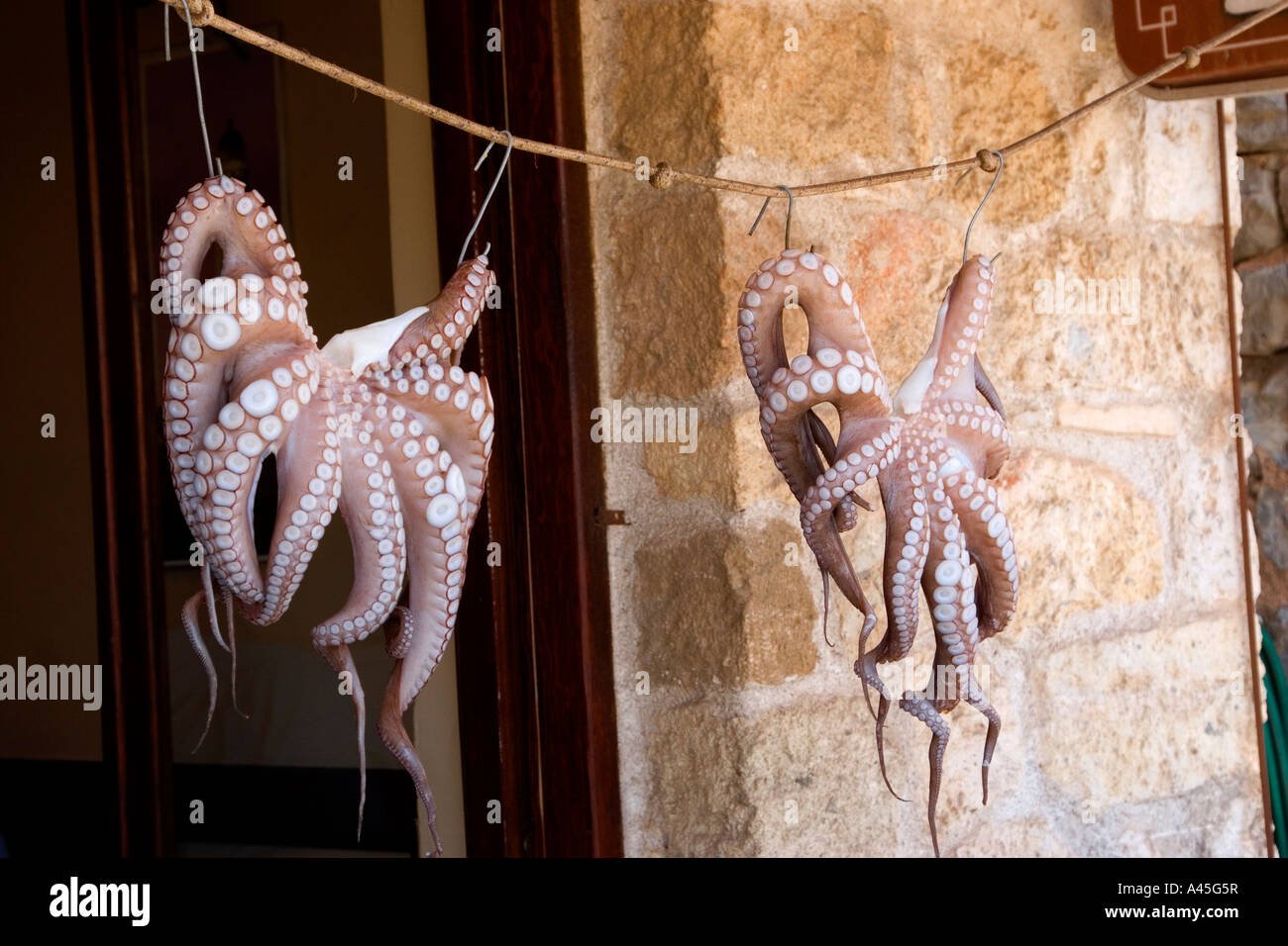 Octopus drying on line hi-res stock photography and images - Alamy
