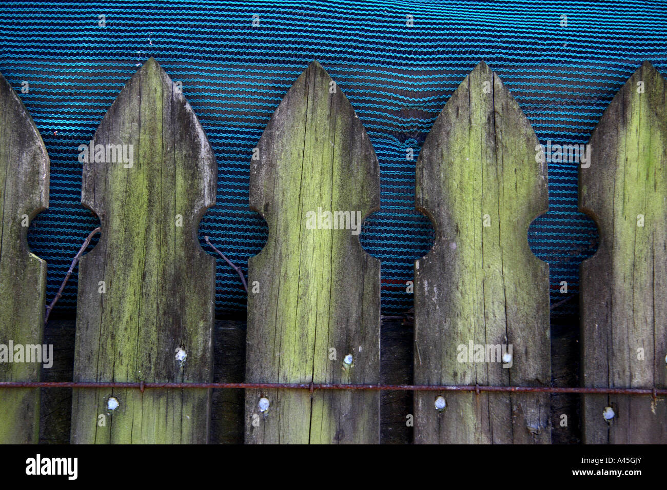 old picket fence with mould Stock Photo - Alamy