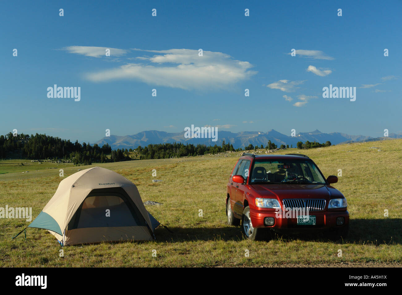 AJD57133, WY, Wyoming, Beartooth Scenic Highway, Beartooth All American ...