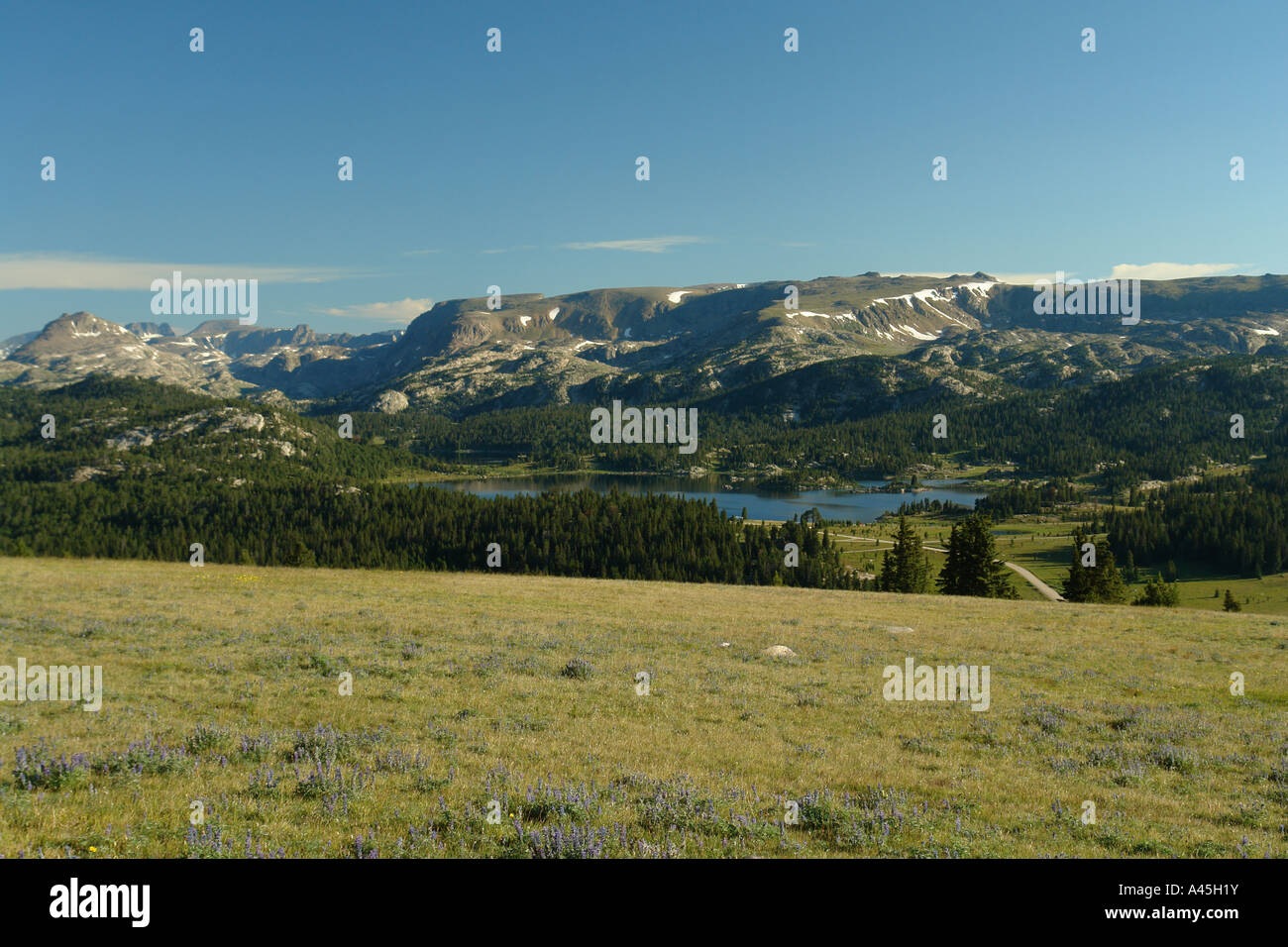 Beartooth plateau hi-res stock photography and images - Alamy