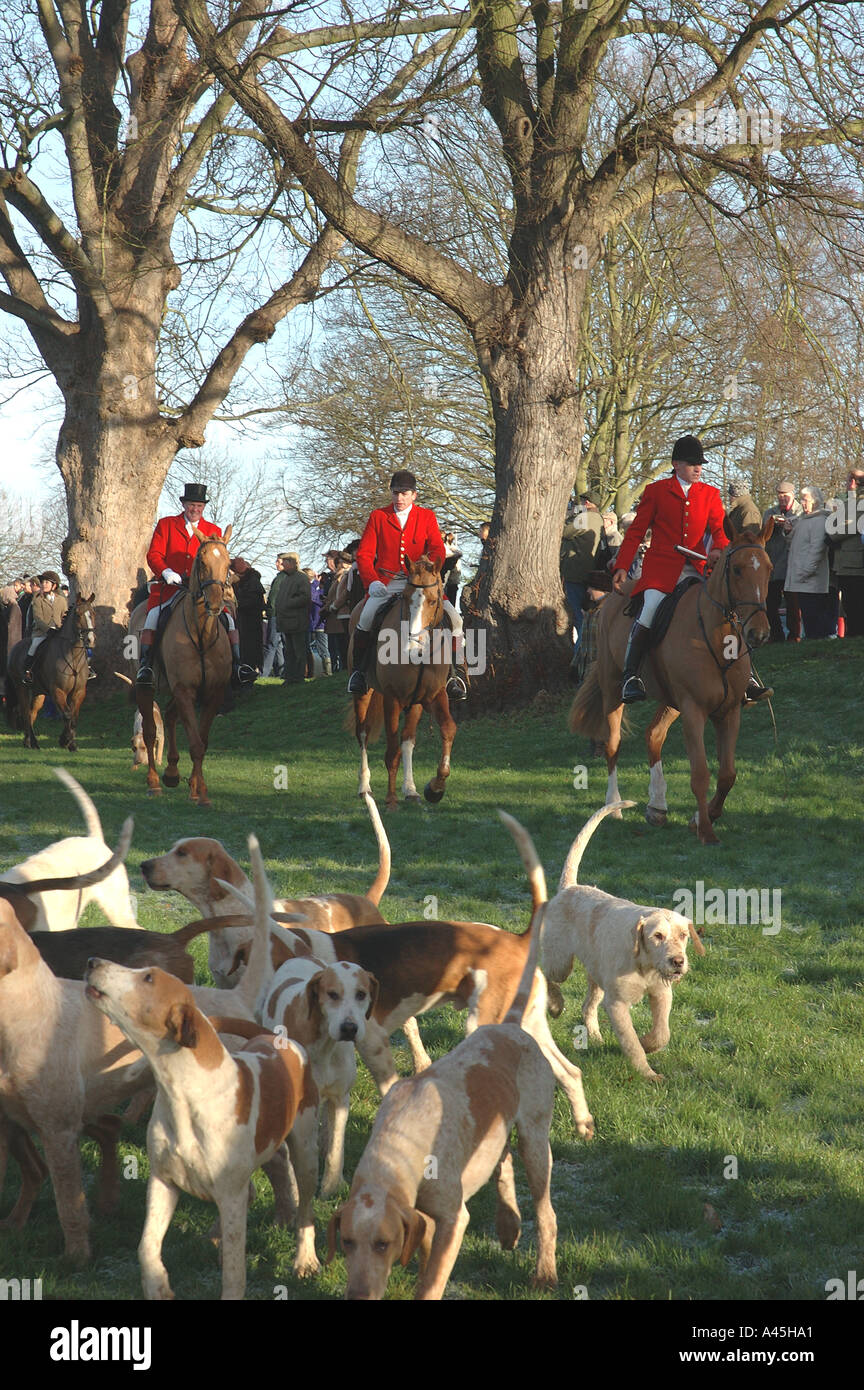 Cottesmore hunt hi-res stock photography and images - Alamy