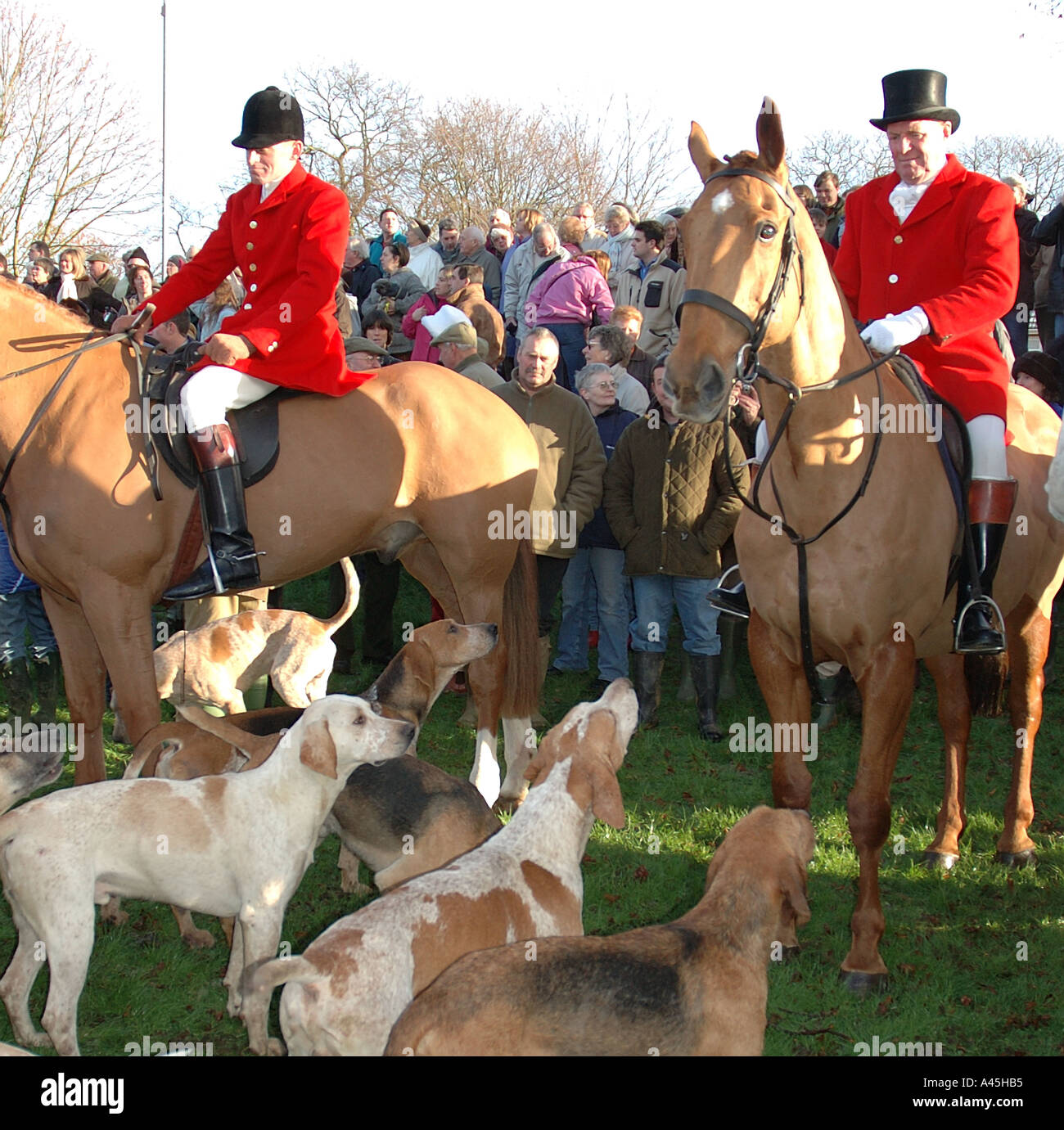 Cottesmore hunt hi-res stock photography and images - Alamy
