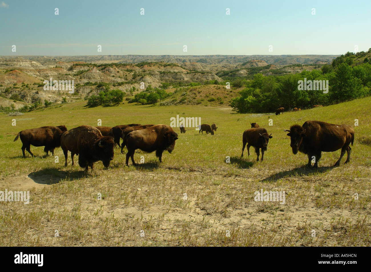 AJD57260, Medora, ND, North Dakota, Theodore Roosevelt National Park ...
