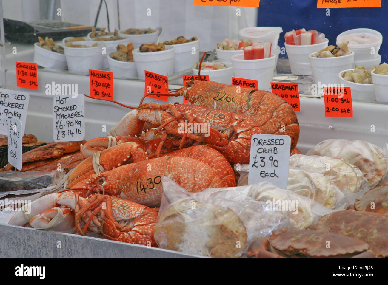 Shell fish market stall in Polperro Cornwall England Stock Photo - Alamy