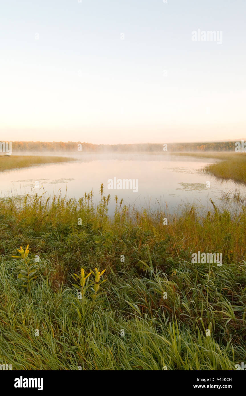 STEAM RISES OFF OF DEWITT POOL AT SUNRISE IN THE MILLE LACS WILDLIFE ...