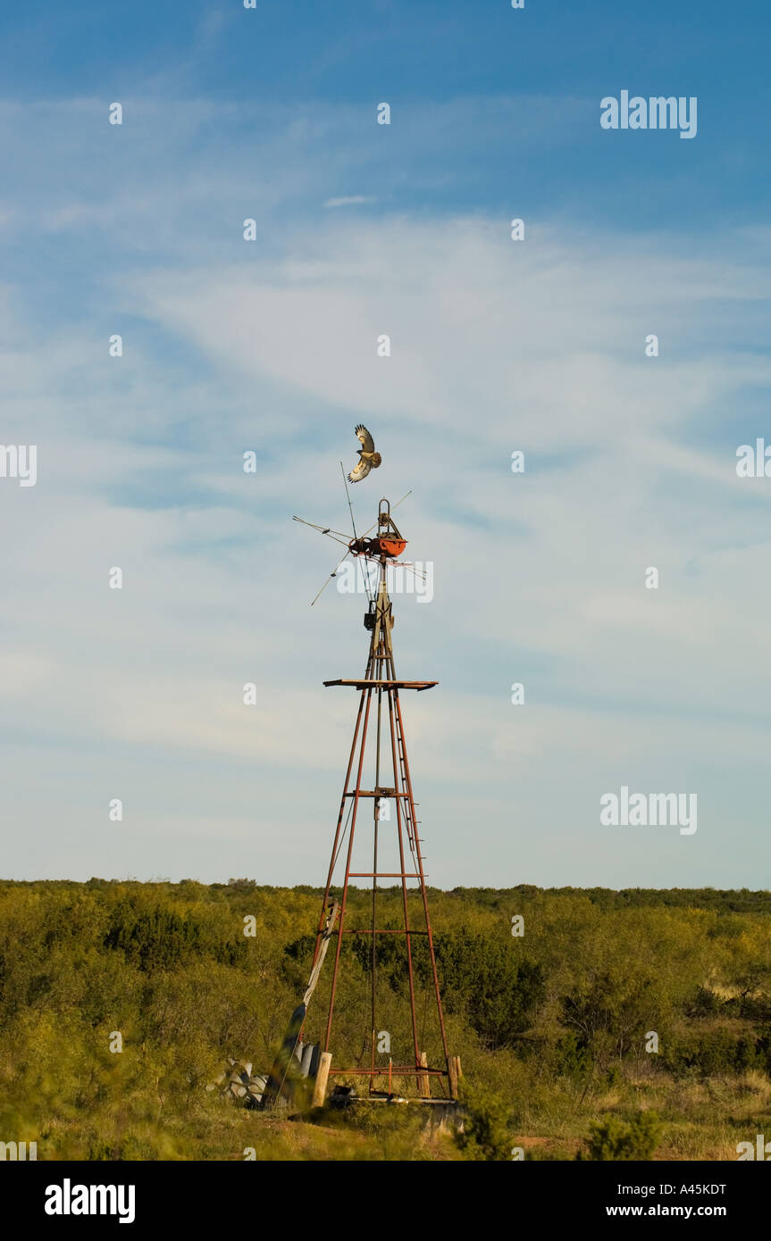 A HAWK CIRCLES AROUND AN OLD BROKEN WINDMILL ON THE TEXAS PLAINS Stock ...