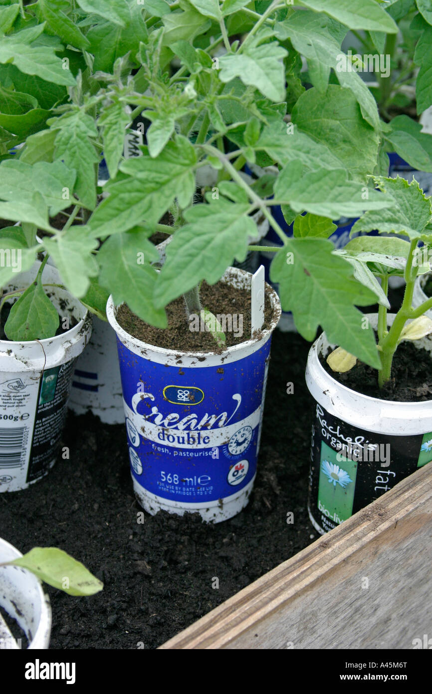 Reusing plant pots hi-res stock photography and images - Alamy