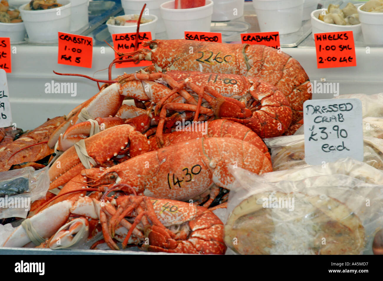 Shell fish market stall in Polperro Cornwall England Stock Photo - Alamy