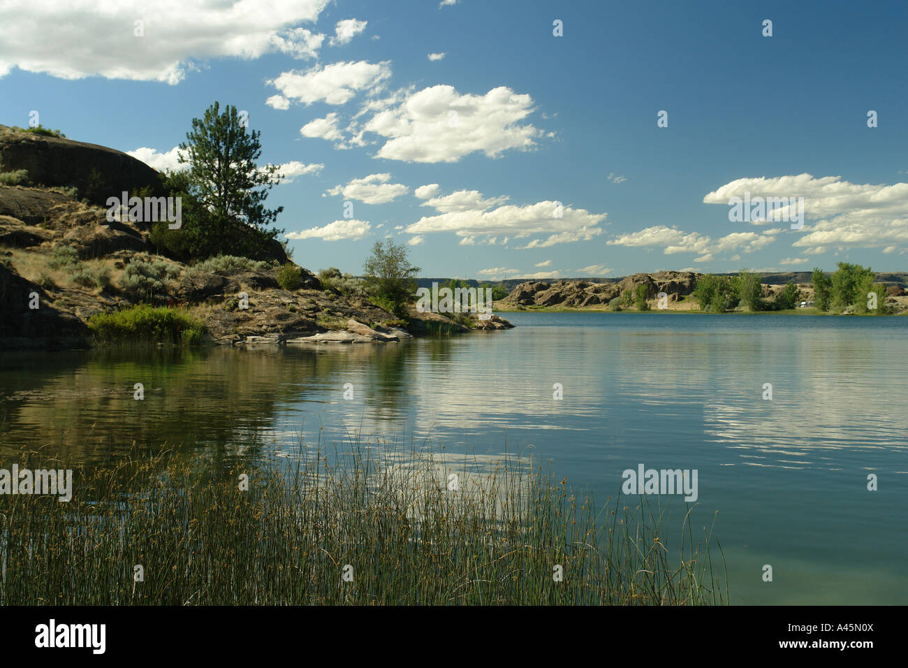 AJD55892, Grand Coulee Valley, WA, Washington, Banks Lake Stock Photo ...