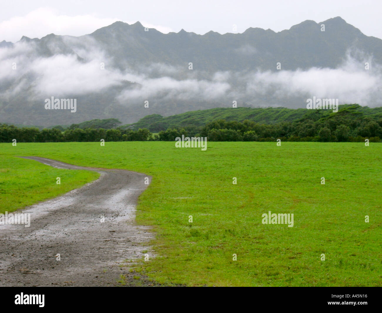 Horse ranch Kauai Hawaii USA Stock Photo - Alamy