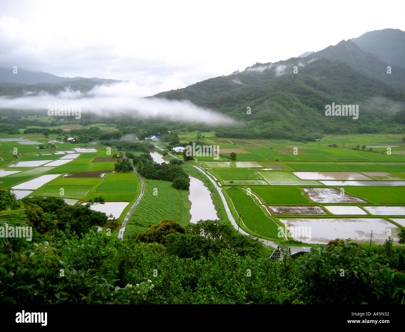 Hanalei valley overlook hi-res stock photography and images - Alamy