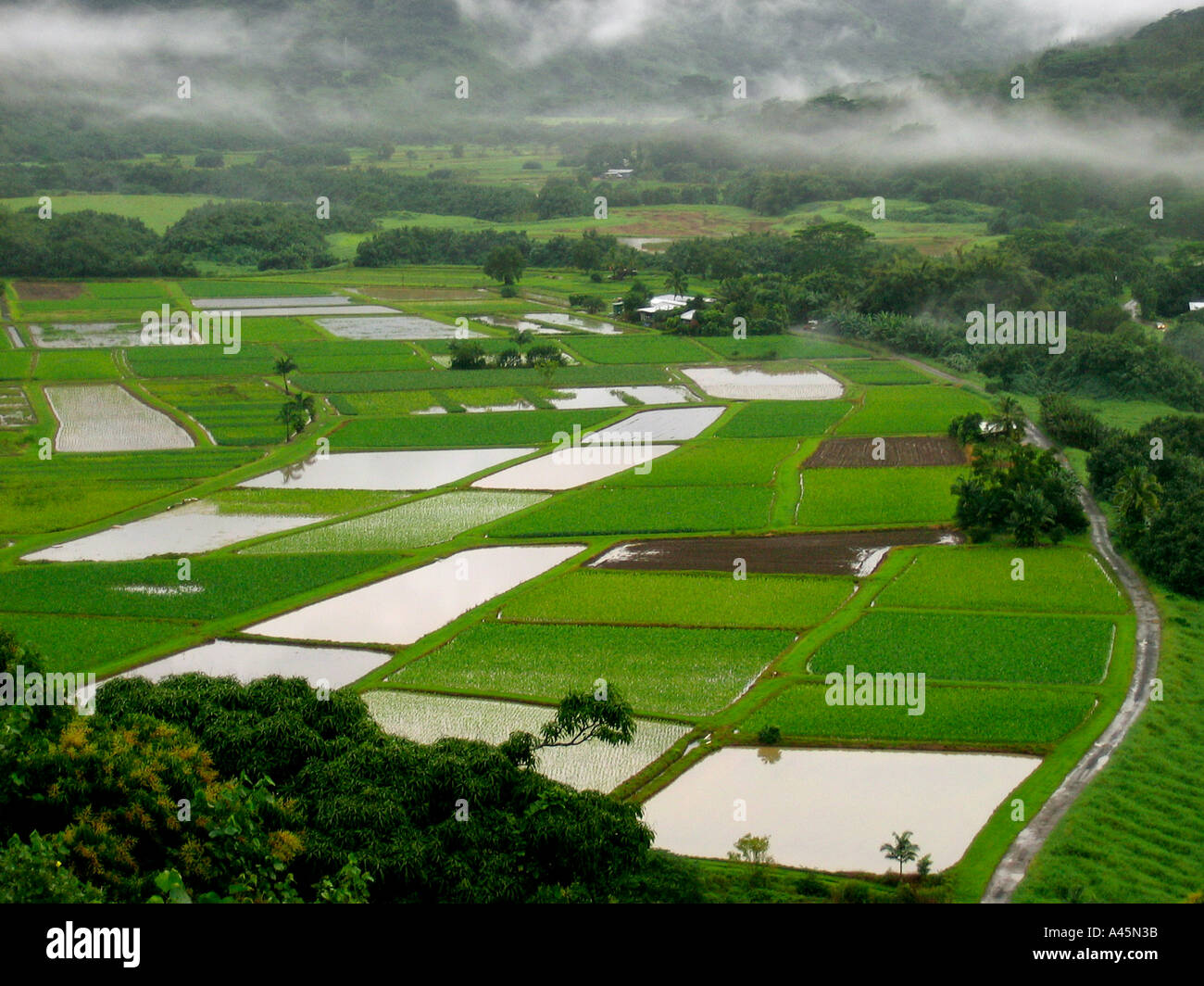 Hanalei Valley National Wildlife Refuge Kauai Hawaii USA Stock Photo ...